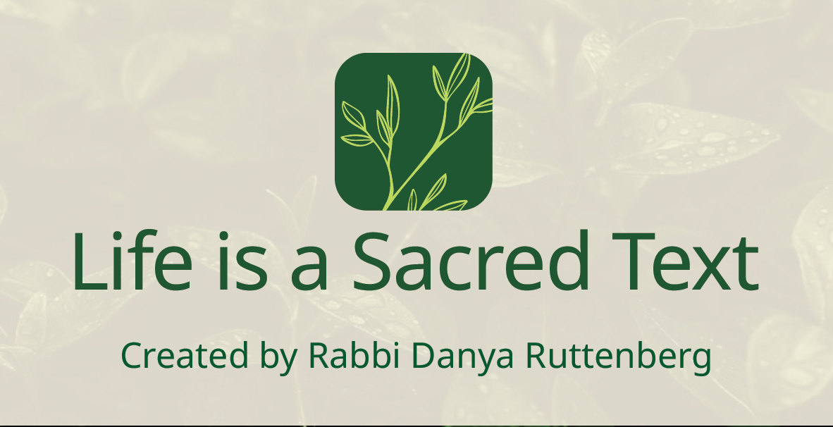 Life is a Sacred Text