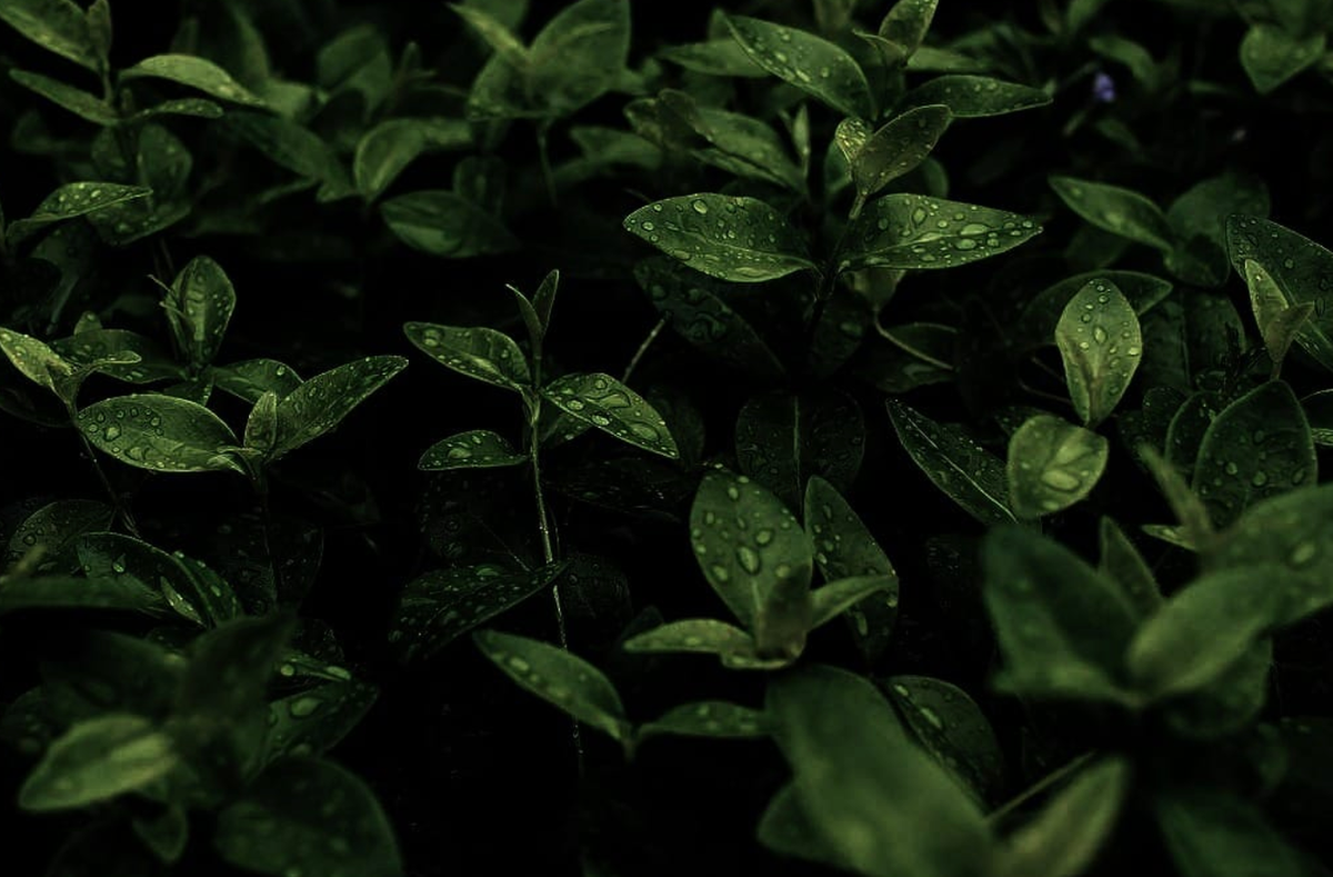 Rabbi Danya Ruttenberg - Life is a Sacred Text