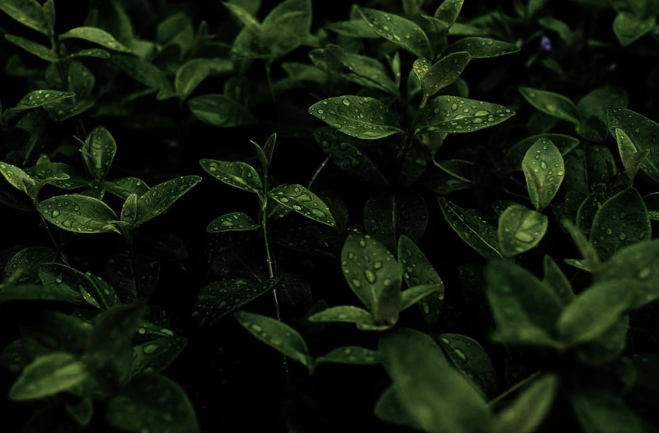 Rabbi Danya Ruttenberg - Life is a Sacred Text